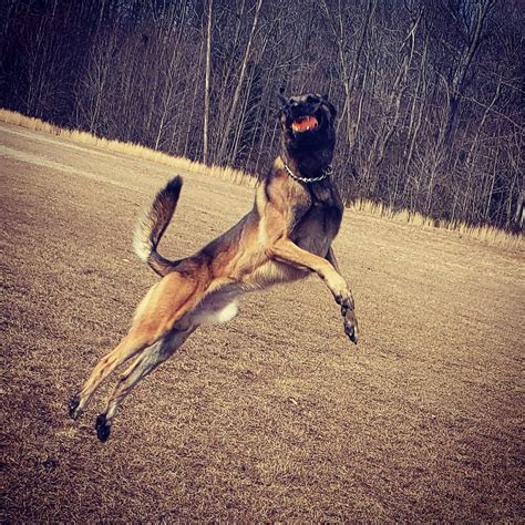 Claymore The Destroyer Added A Claymore The Destroyer Claymore The Destroyer Added A Claymore The Destroyer