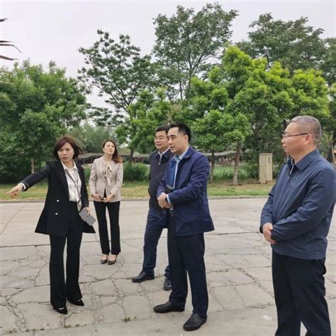 市生态环境局领导率队到龙亭区调研污染防治工作陈勇问题国控