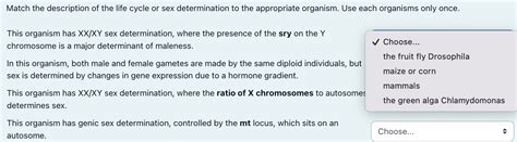 Solved Match The Description Of The Life Cycle Or Sex Chegg Com