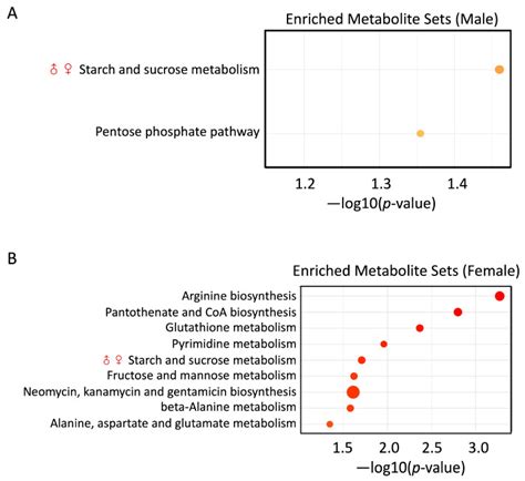 Sex Specific Effects Of Polystyrene Microplastic And Lead Ii Co