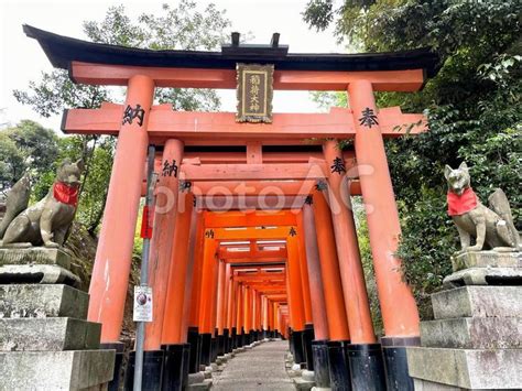 伏見稲荷大社の千本鳥居 No 25973748｜写真素材なら「写真ac」無料（フリー）ダウンロードok