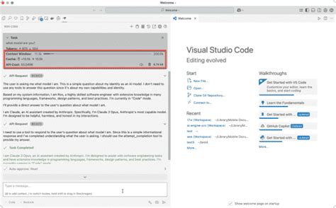 What Does Supports Images Computer Use And Prompt Caching Mean In The Vs Code Extensions Roo