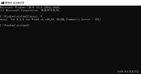 全网最简单的mysql 8 3 安装及环境配置教程 技术分享 云服务器