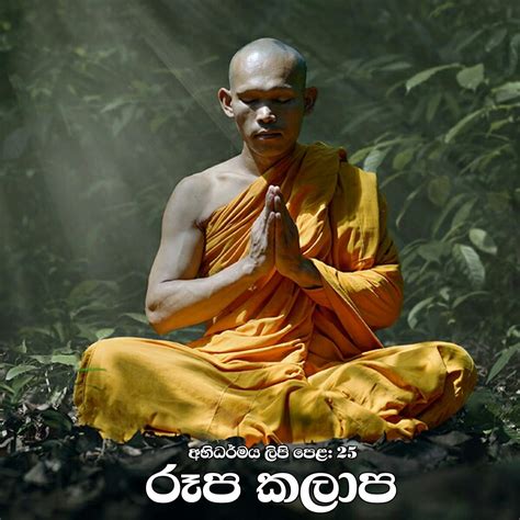 දහම් රස විඳින්නට කැමති අය සඳහා අභිධර්මය ලිපි පෙළ 25 🏵️ රූප කලාප 🏵️ අභිධර්මයේ රූප පරමාර්ථය