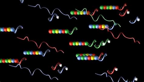 Dna Barcoding Improves Gene Expression Analysis Nanostring