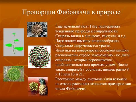 Числа Фибоначчи презентация онлайн