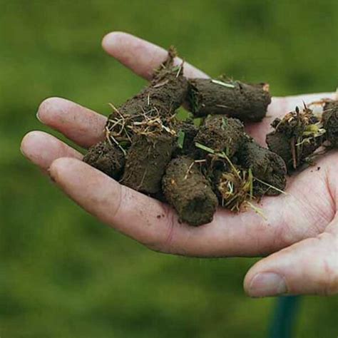 Gps Soil Sampling Soil Sampling Farmeye