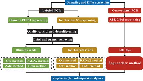 Experimental Workflow Gene Fragments Are Sequenced On Abi 3730xl Download Scientific Diagram