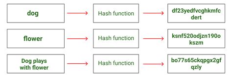 Blockchain Merkle Trees Geeksforgeeks