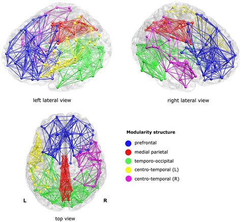 Graph Based Deep Learning Approaching A True “neural” Network By