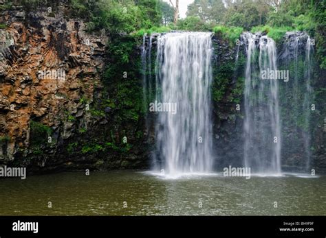 Dangar Falls Dorrigo New South Wales Australia Dorrigo New South