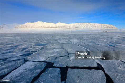 겨울 북극 하얀 눈 덮인 산 푸른 빙하 스발바르 노르웨이 바다에 얼음 북극의 빙산 황혼 아름다운 풍경 얼음이 있는 밤 바다 맑은 푸른 하늘 얼음의 땅 강에 대한 스톡 사진