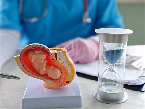 All Things Fertility Bridge Clinic