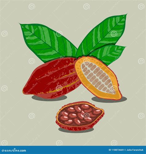 Cocoa Fruits And Leaves Whole Fruit Cocoa Beans Chocolate Grunge