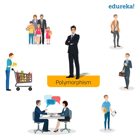 Comparison Inheritance And Polymorphism