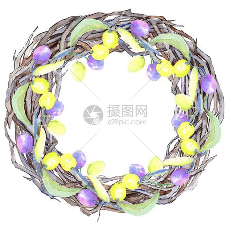 水彩风格的橄榄枝框架边框装饰广场植物全名高清图片下载 正版图片507453327 摄图网