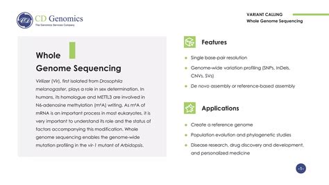Whole Genome Sequencing Pdf