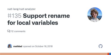 Support Rename For Local Variables · Issue 135 · Rust Langrust Analyzer · Github