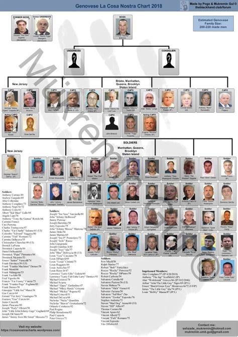 What Are The Five Italian Mafia Families
