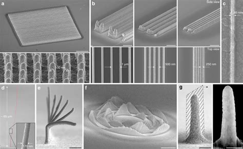 Geometrical Performance And As Printed Microstructure A Array Of 50 × Download Scientific