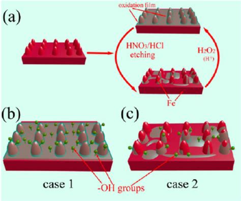 A Schematic View Of The Reacting Process Surface Hydroxyl On The