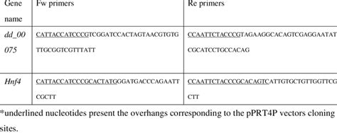 Primer Pairs Used For Probe Generation Download Scientific Diagram