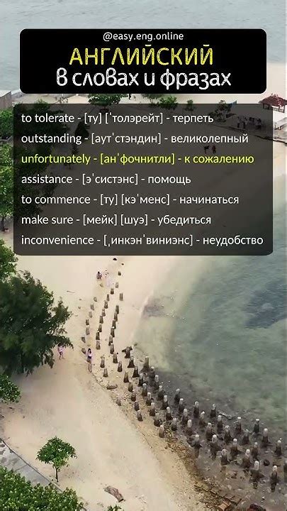 💢 ВОТ ЭТО АНГЛИЙСКИЙ 🔖 Английский для начинающих взрослых с нуля Youtube