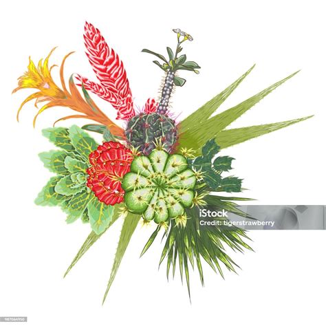 우아한 꽃꽂이 꽃다발 수채화 모방 Succulent 장미 선인장 공기의 공장 Bromelia 알로에 베라 Houseplant 세트 파스텔 꽃 결혼식 진짜 식물 및 편집