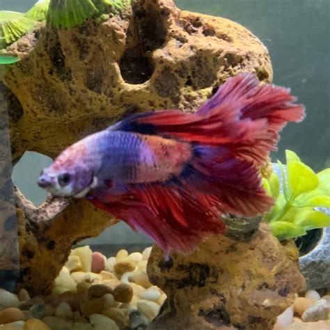 Hash Youtube Hash Youtube