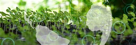 Sustainability Benefits Of Cloud Computing Data Centers Techtarget