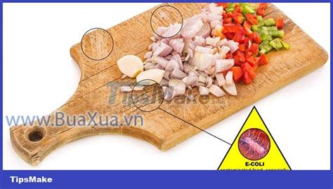 The Most Commonly Exposed Bacterial Colonies