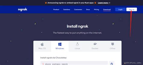 windows使用ngrok实现本地程序外网域名访问 详细教程 ngrok exe csdn博客