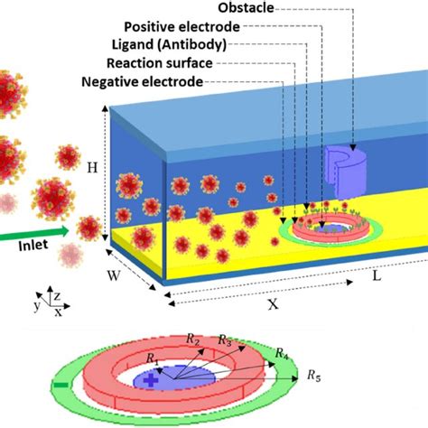Conceptual Diagram Of The Microfluidic Biosensor Download Scientific Diagram
