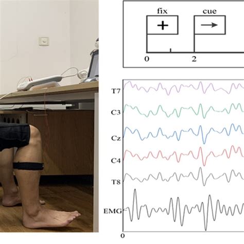Experimental Setup A EEG And EMG Acquisition A Participant Sat On A Download Scientific
