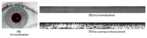 preprocessing of iris image daugman 2009 download scientific diagram