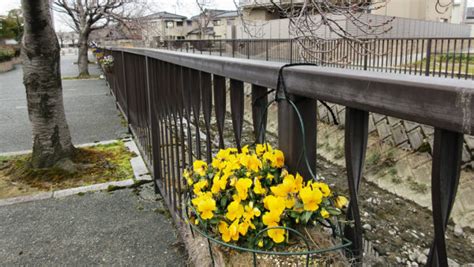 馬場川緑道の清掃を行いました 御経塚まちづくり会Webサイト
