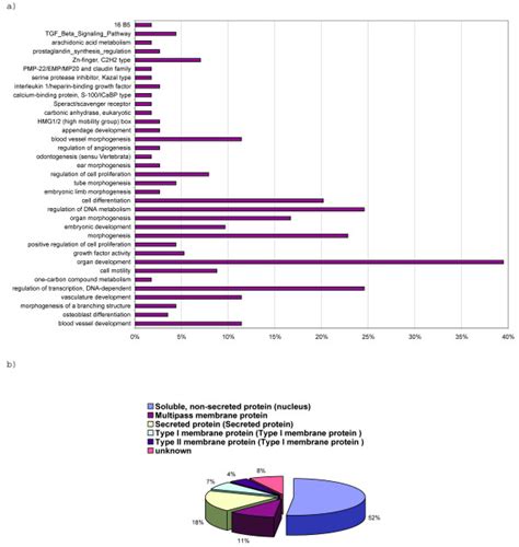 Ontology Classification Functional Distribution A And Subcellular Download Scientific