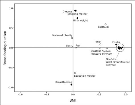Principal Component Analysis Loading Plot Filled Circles Indicate Download Scientific Diagram