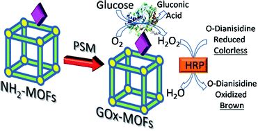 Glucose Oxidase Crystal Structure