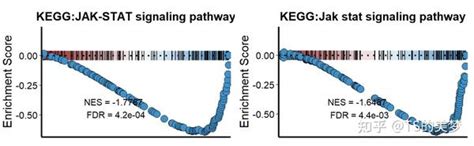 复现nature图表：gsea分析及可视化包装函数 知乎