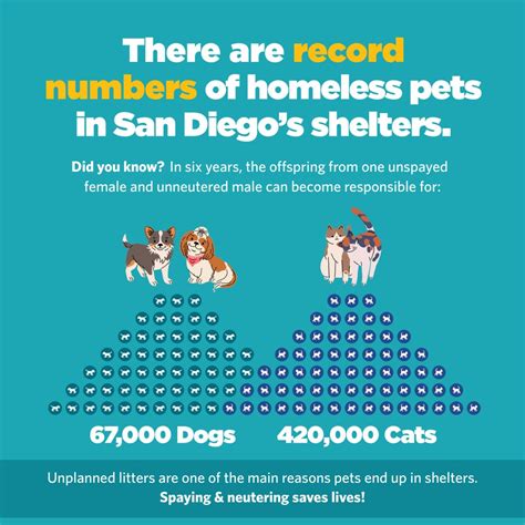 San Diego Humane Society Sdhumane Posts X