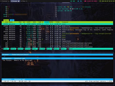 My First Arch Rice R Unixart