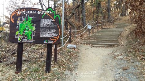 천안시 겨울철 대비 등산로 정비