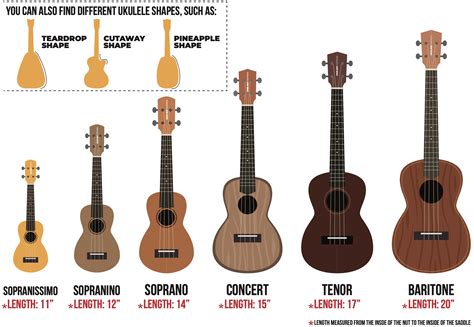 Does Ukulele Size Matter Ins