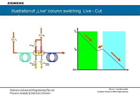 Typical Column Switching Systems Straight On Backflush Siemens