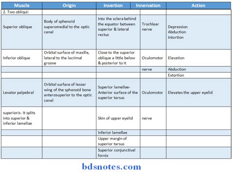 Contents Of The Orbit Short Question And Answers Bds Notes