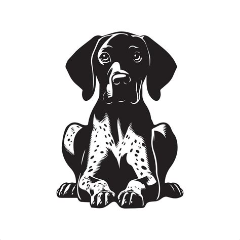German Shorthaired Pointer Sitting With Visible Legs Illustration In