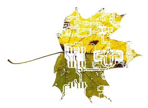 Environmental Engineering And Gis