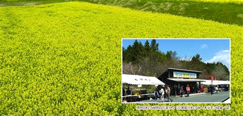 Axisアクシス｜ 山口県中小企業団体中央会 会報「中央会やまぐち」令和7年5月号