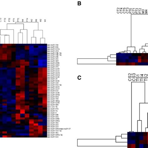 Hierarchical Clustering Unsupervised Agglomerative Clustering Analysis